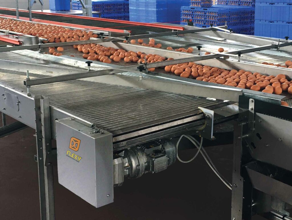 Egg Table - Egg accumulator table | FLEXY